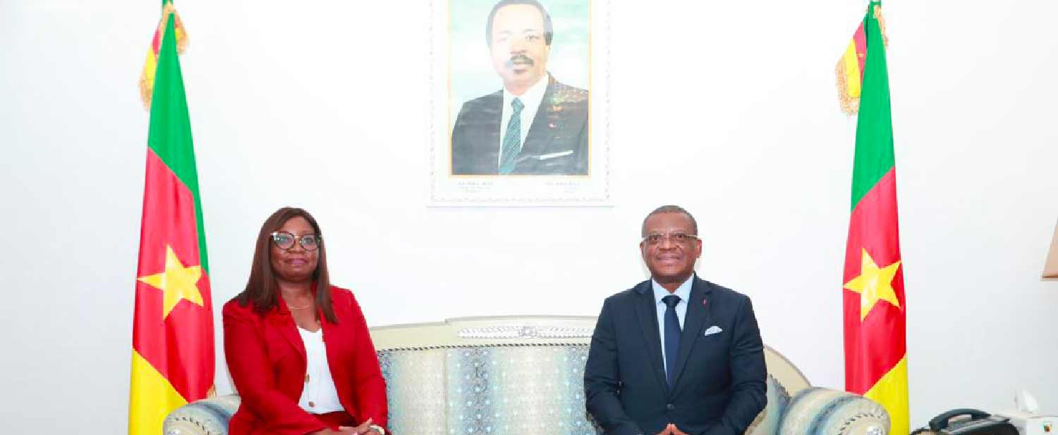 Cameroon: The African Development Bank, a leading infrastructure ...