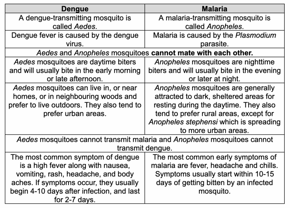 Dengue or Malaria ? How to distinguish mosquito-borne diseases ...