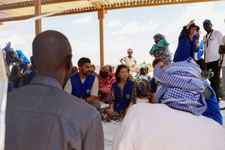 Over 400,000 Chadians Return from Sudan, IOM Urges Stronger Support ...